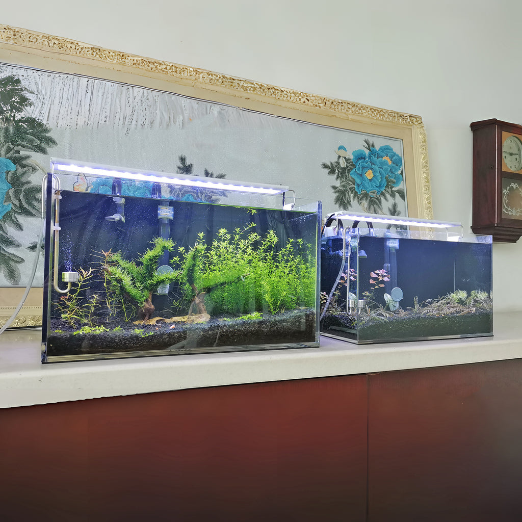 16X8X10" Clear Acrylic Fish Tank 5 Gallon Aquarium Terrarium 8mm Thick ...